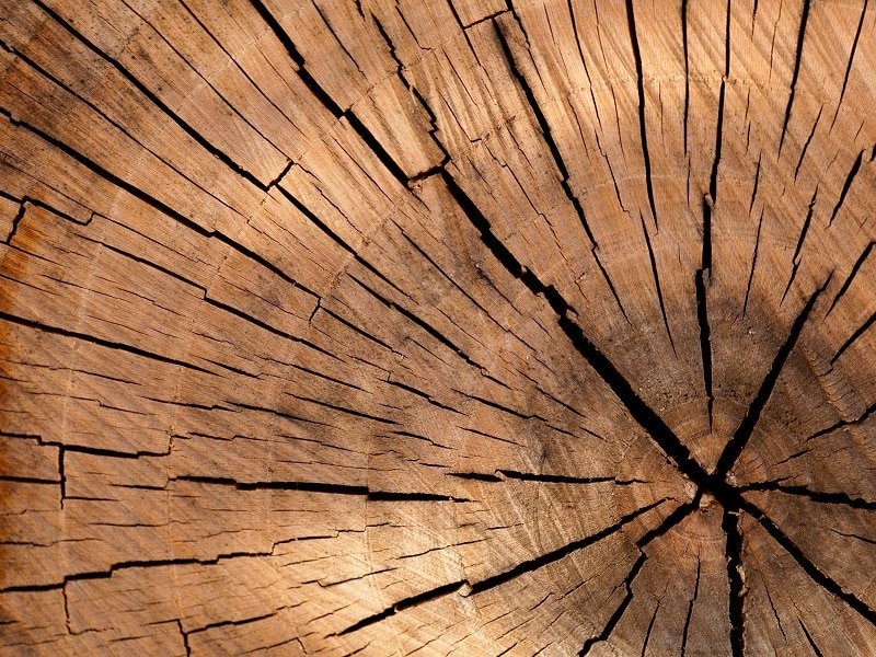 Case in legno - Marlegno